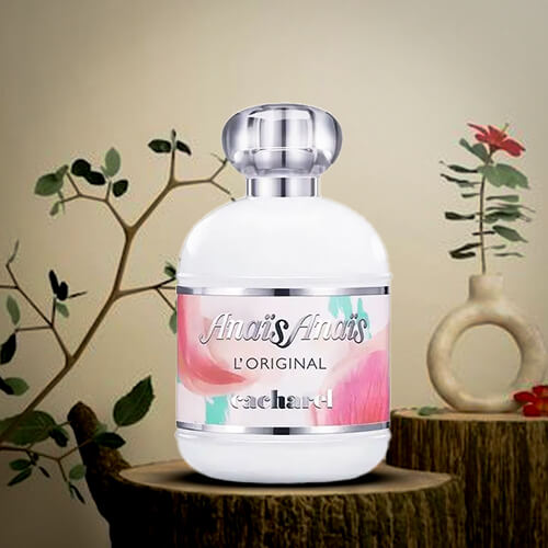 Cacharel Collection: Chic & Timeless Apparel | Belvish